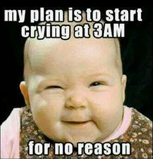 Thinking in Memes: Making the Hard Times of Motherhood Funny