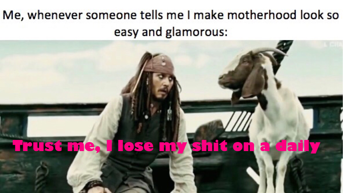 Thinking in Memes: Making the Hard Times of Motherhood Funny