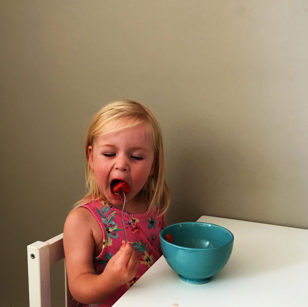 Toddler Life: The Power of No - Why it is important we let them say no