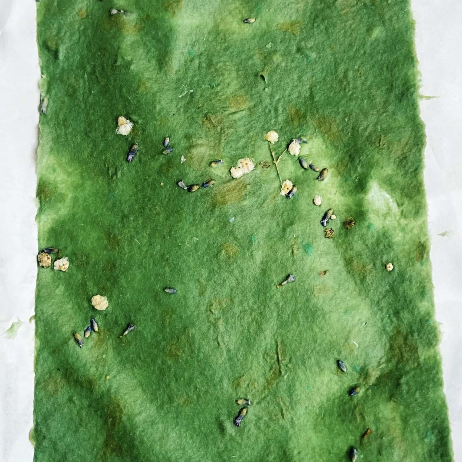 Zelf papier maken van oud papier met kinderen