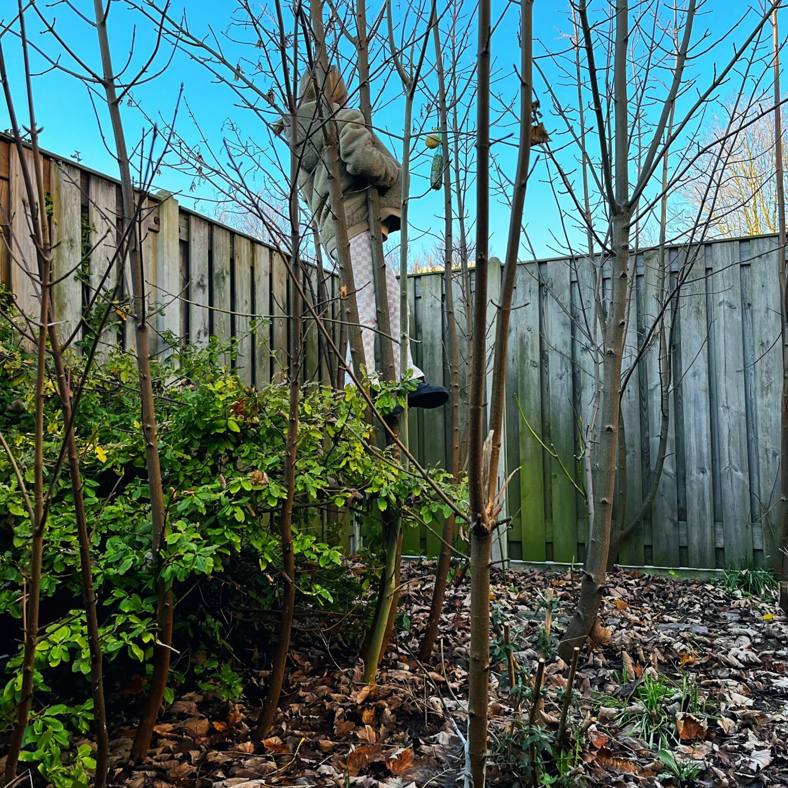 Milieuvriendelijke tuin in de herfst en winter: 7 tips